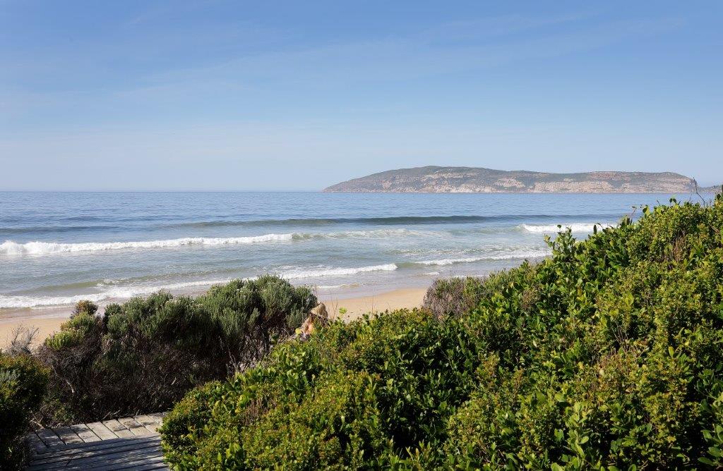 Ola Kala – Steadfast Africa